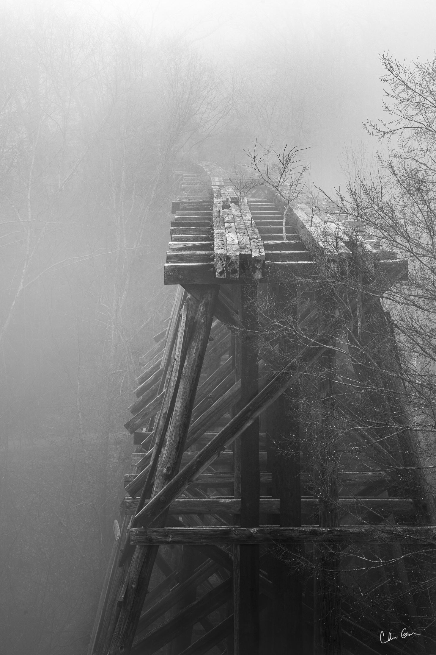 Browse Photo Collections – Chris Greer Studio & Gallery