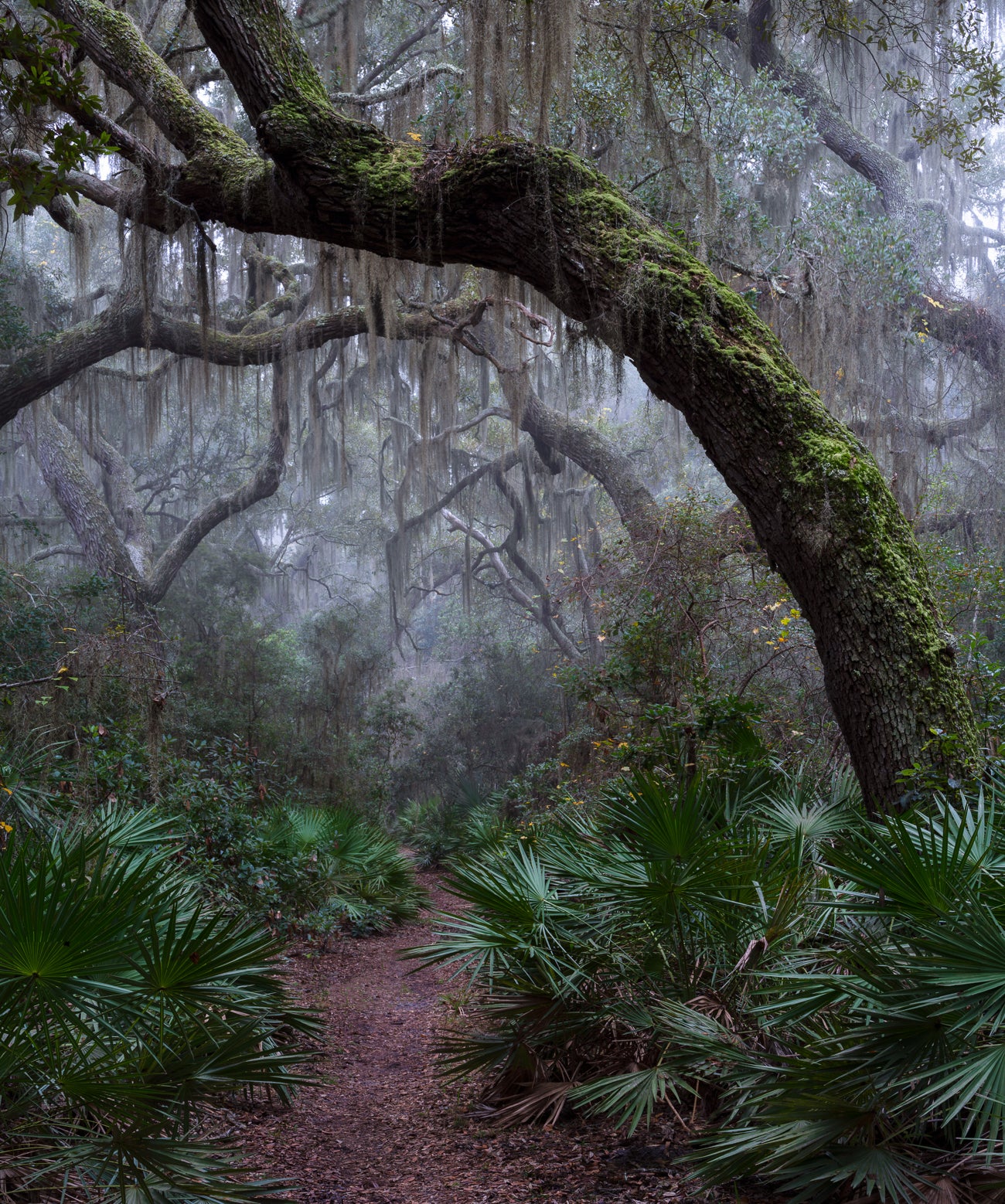 All Photos – Chris Greer Studio & Gallery