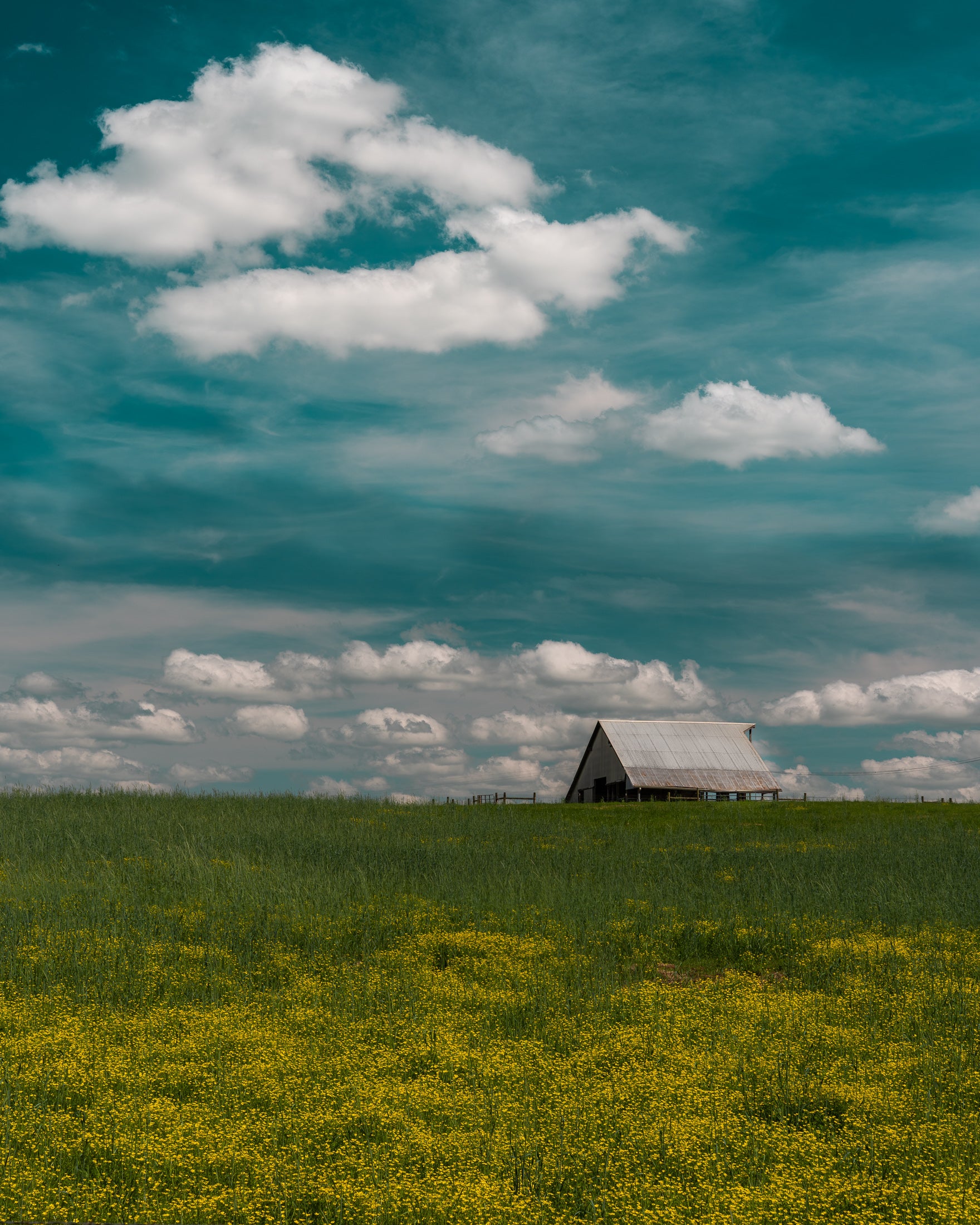 All Photos – Chris Greer Studio & Gallery