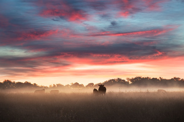 Stunning Sunrise – Chris Greer Studio & Gallery